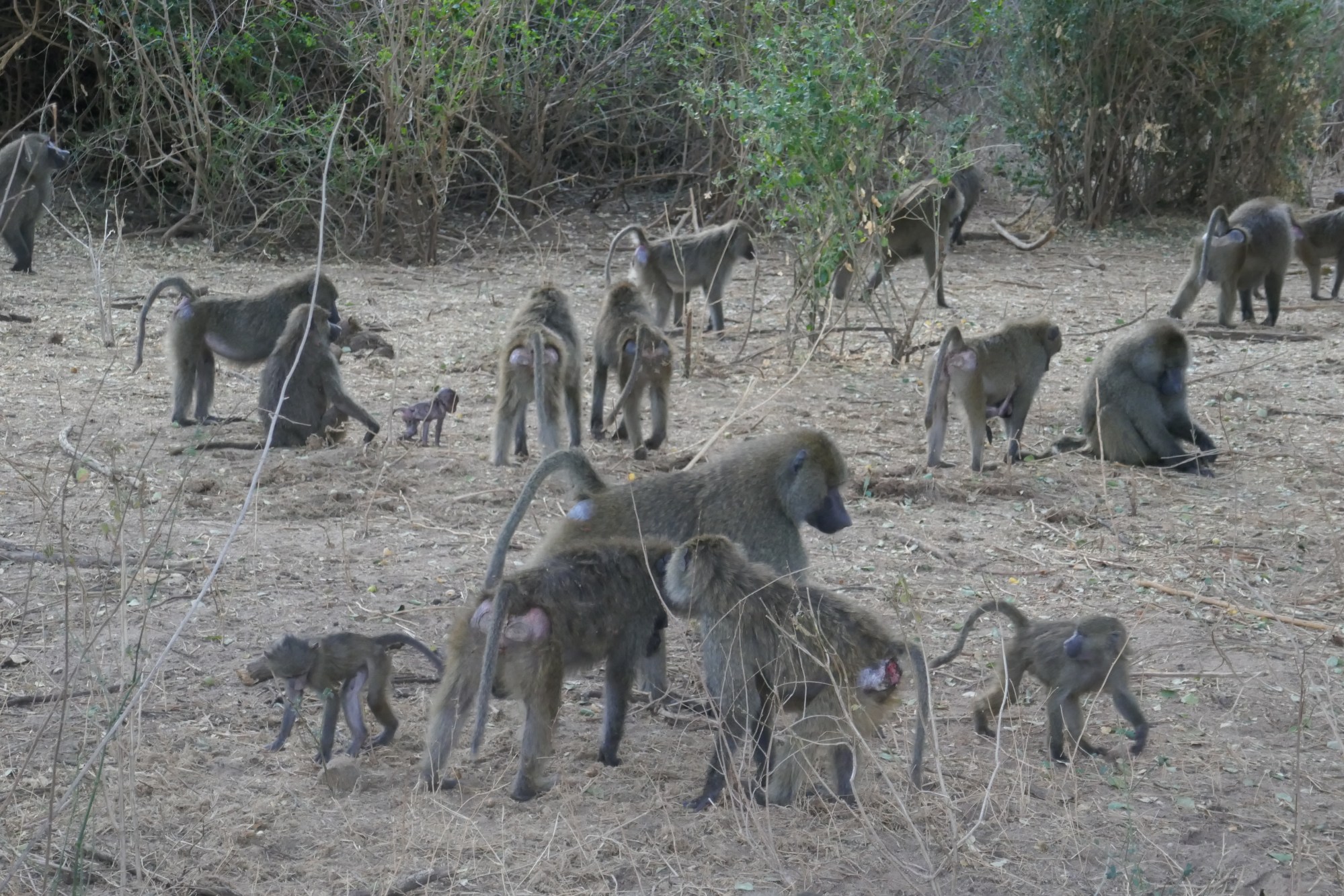 Tanzanie, sarafi family avec deux enfants de 5 et 8 ans. – Maman Life ...